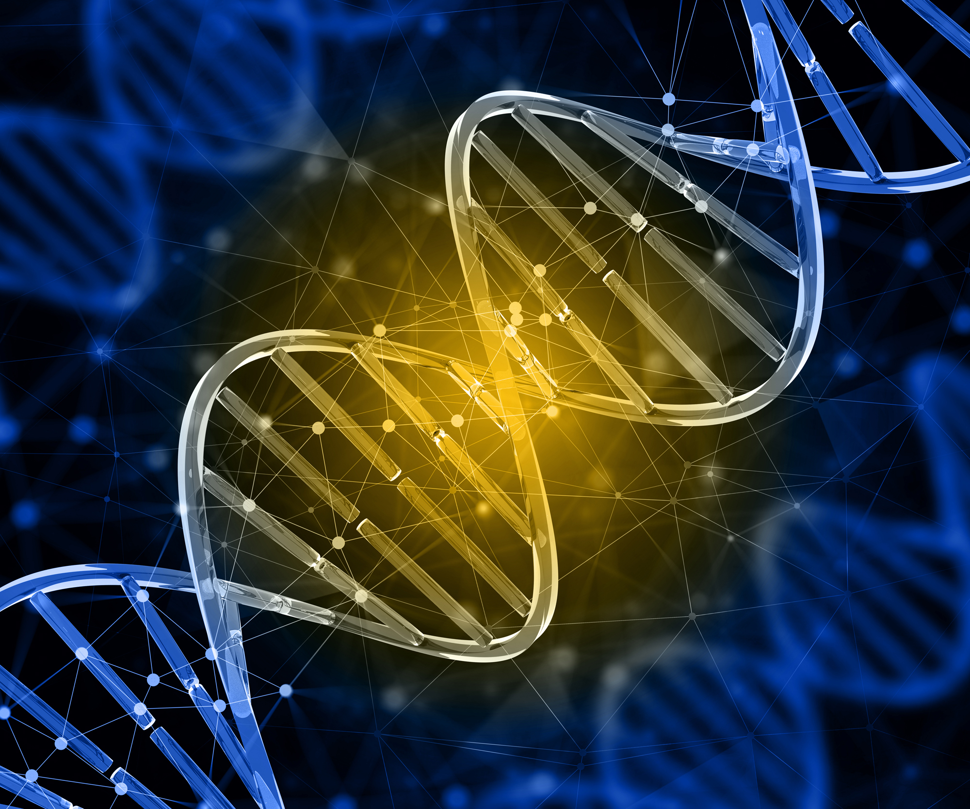 Our Objectives – TRANSFORM